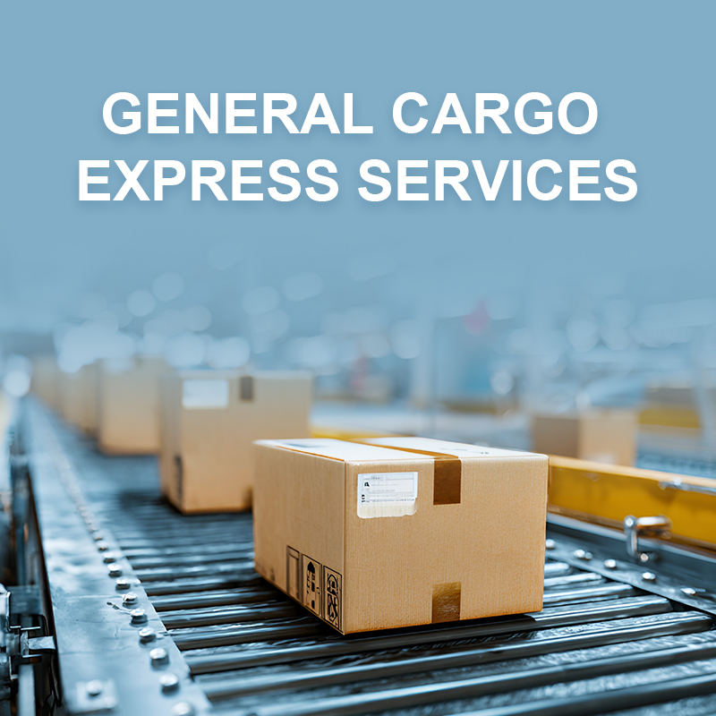 Air Sea Road Express General Cargo Shipping For Global Logistics